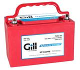 Shop Teledyne Gill 7246-20 - Sealed VRLA (Valve Regulated Lead-Acid ...