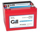 Shop Teledyne Gill G-242 - Dry Charged Lead-Acid Aircraft Battery ...