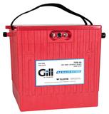 Shop Teledyne Gill 7246-20 - Sealed VRLA (Valve Regulated Lead-Acid ...