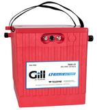 Shop Teledyne Gill 7246-20 - Sealed VRLA (Valve Regulated Lead-Acid ...