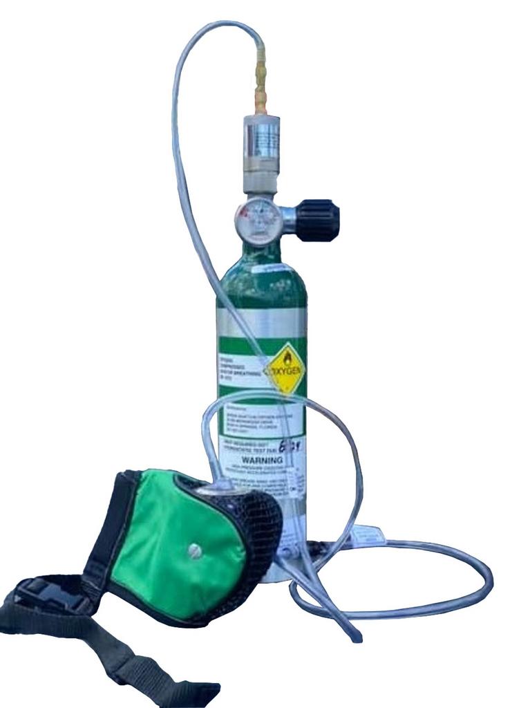 Shop Aerox K902 Canine Portable Oxygen System - 1A-DL1 | Pilot John